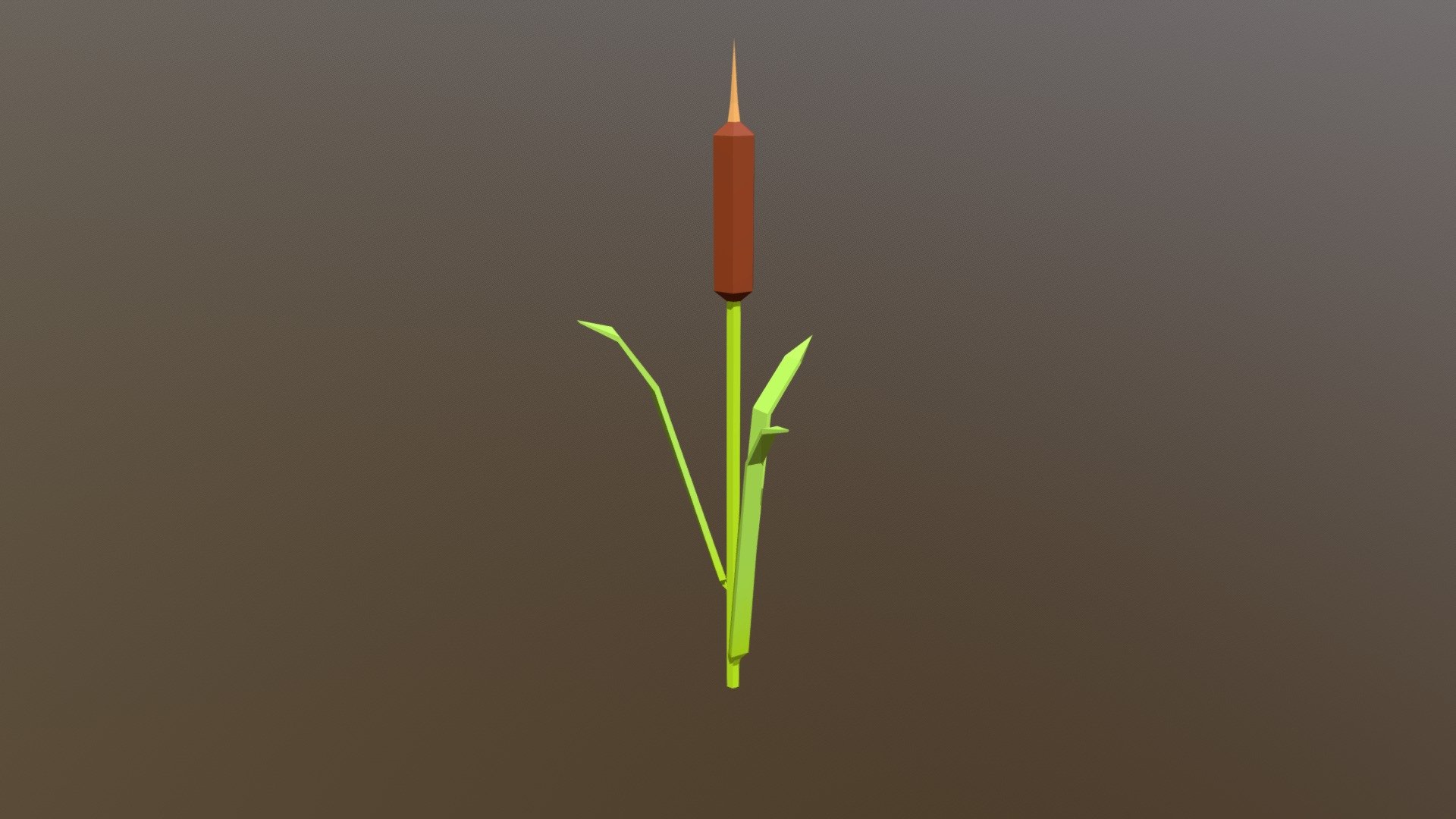 Cattail - 3D model by Ben (@breadcipher) [bbe0421] - Sketchfab