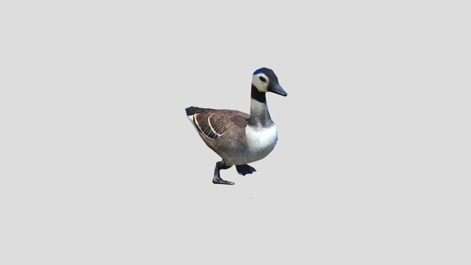 pato canada - Download Free 3D model by Anginio.Torres.Rodriguez ...