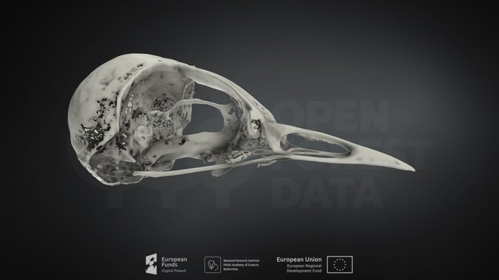 Primeval 3D models - Sketchfab