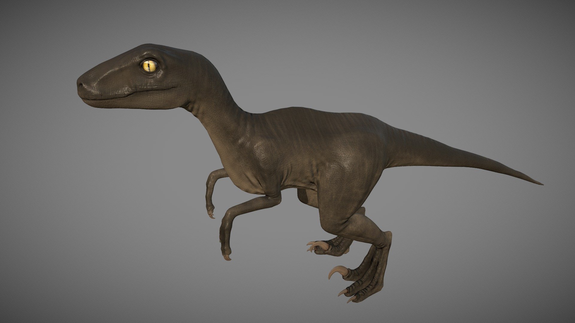 velociraptor - 3D model by aa99 (@andrewjadams93) [bbeb059] - Sketchfab