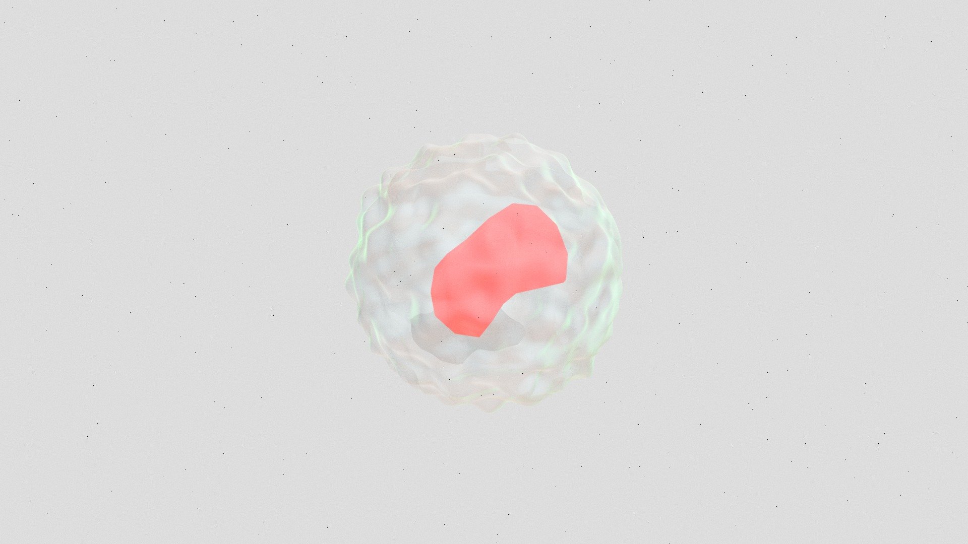 Monocyte Model - Download Free 3D model by akankshanayak09 [bbf1d61 ...