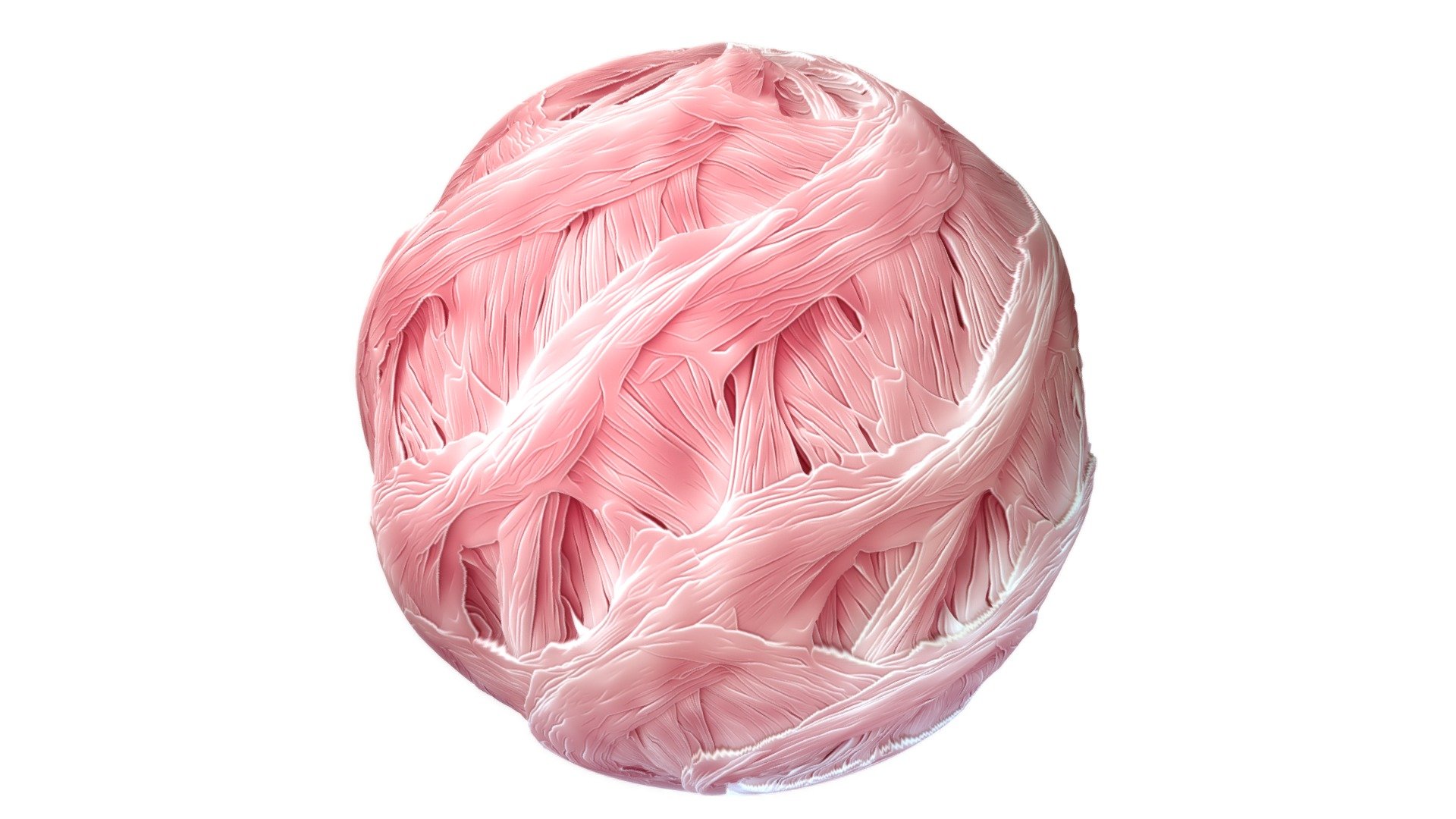 Anatomy Seamless Texture - Buy Royalty Free 3D model by zames1992 [bbf1fc0] - Sketchfab Store