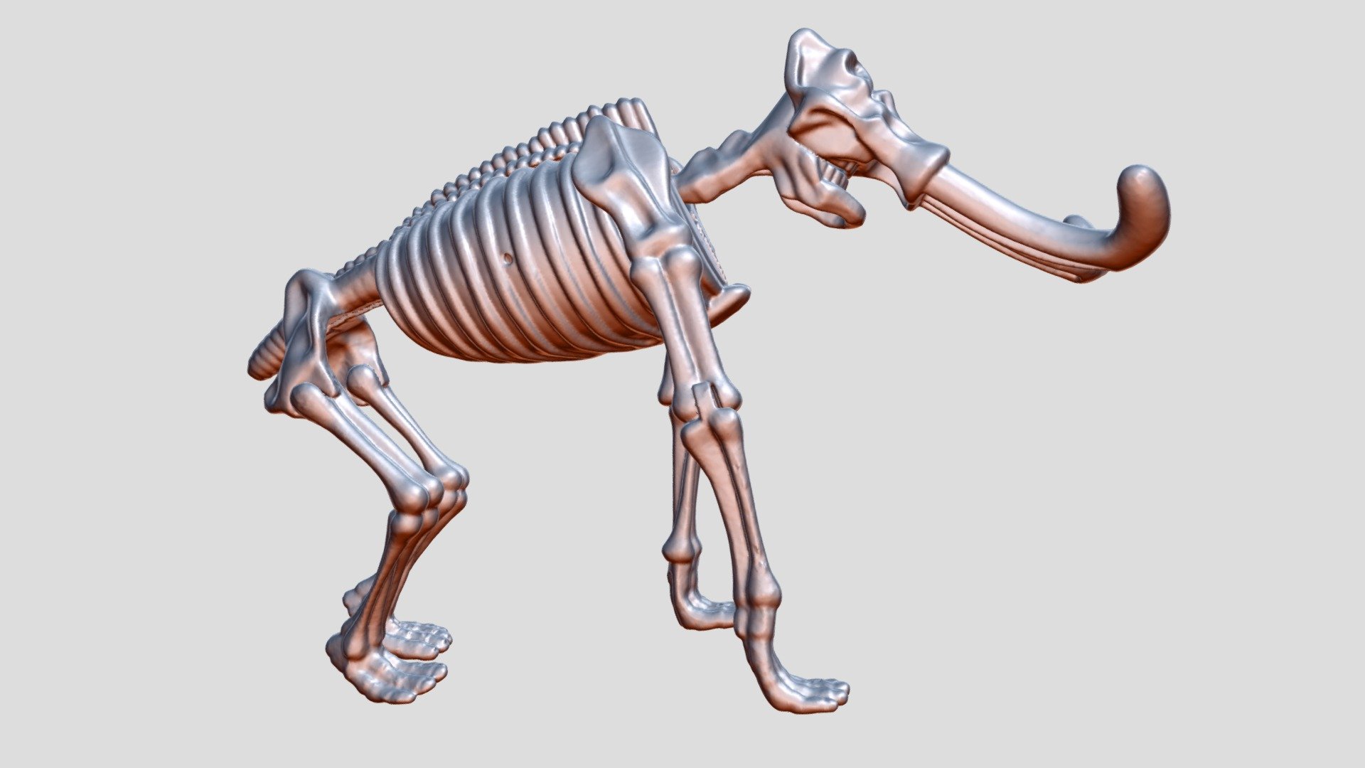 Fossillites Mammoth (VCU_3D_5858) - 3D model by Virtual Curation Lab ...