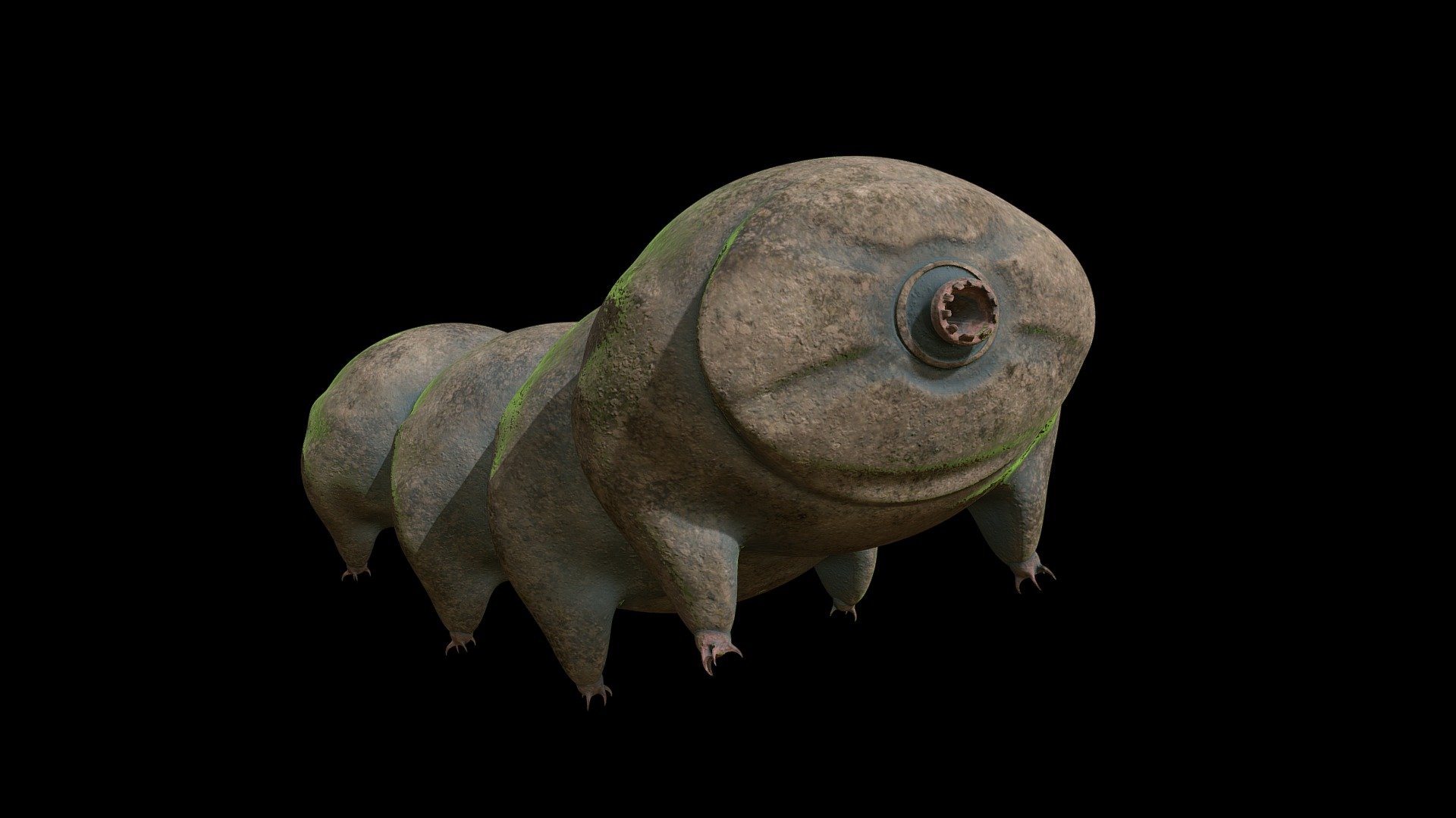 Tardigrade - lowpoly hand painted water bear - 3D model by Scritta ...