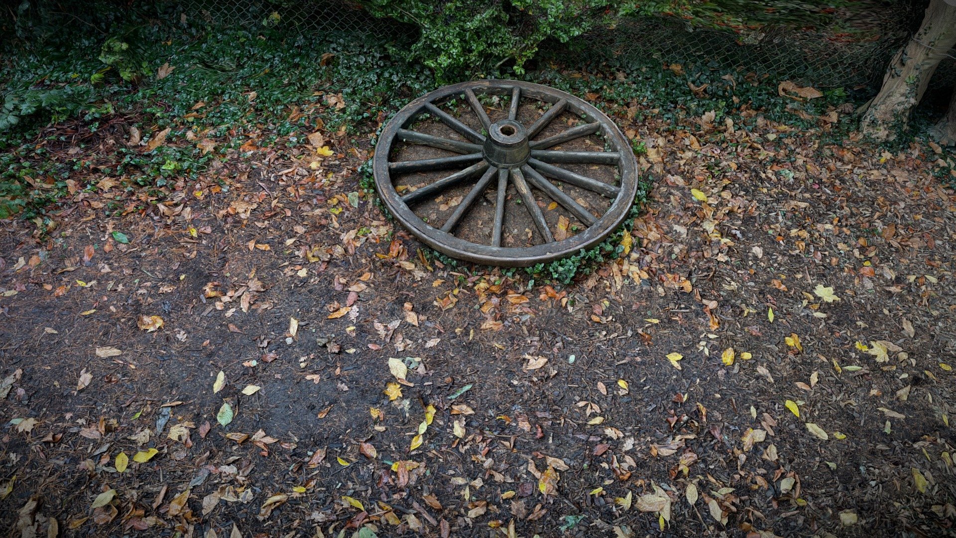 Wooden wheel photogrammetry - Buy Royalty Free 3D model by alex.harvey ...
