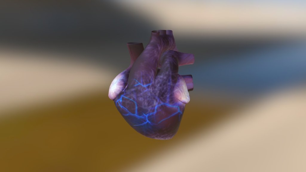 3D Heart - 3D model by bee3dtech [bbfc4be] - Sketchfab