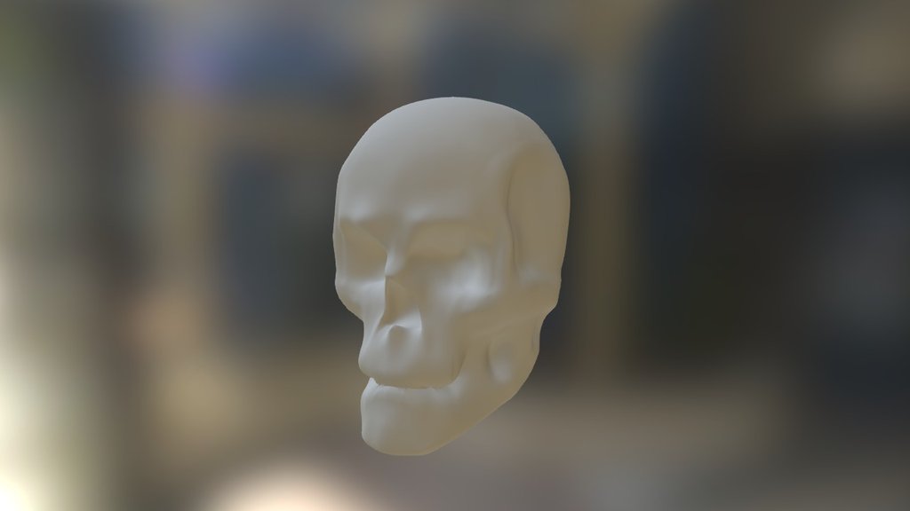 Skull - 3D model by amberbolin94 [bbfe354] - Sketchfab