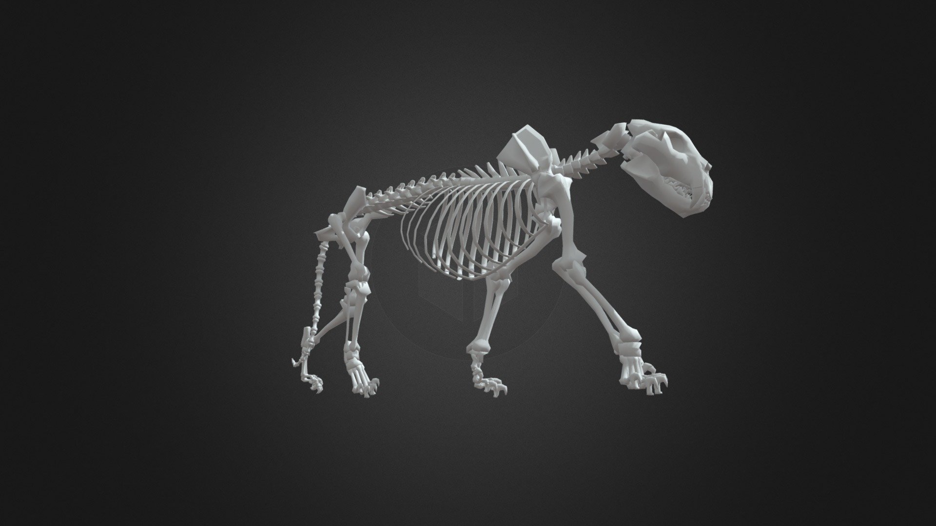 Quadruped Walkcycle - 3D model by Kamelot Studio (@KamelotStudio ...