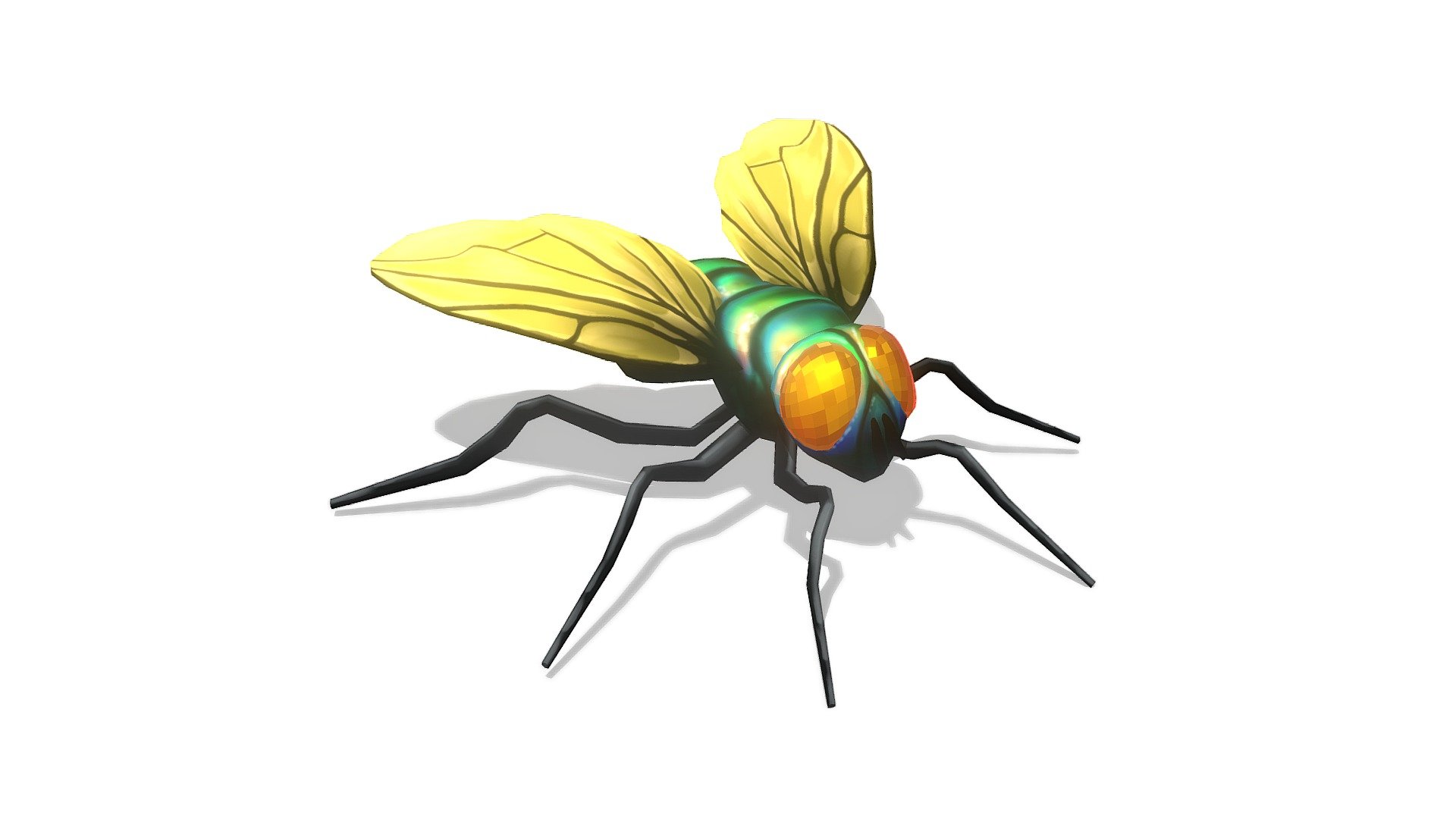 Fly - Low Poly - Download Free 3D model by Leomaderart [bc21468 ...