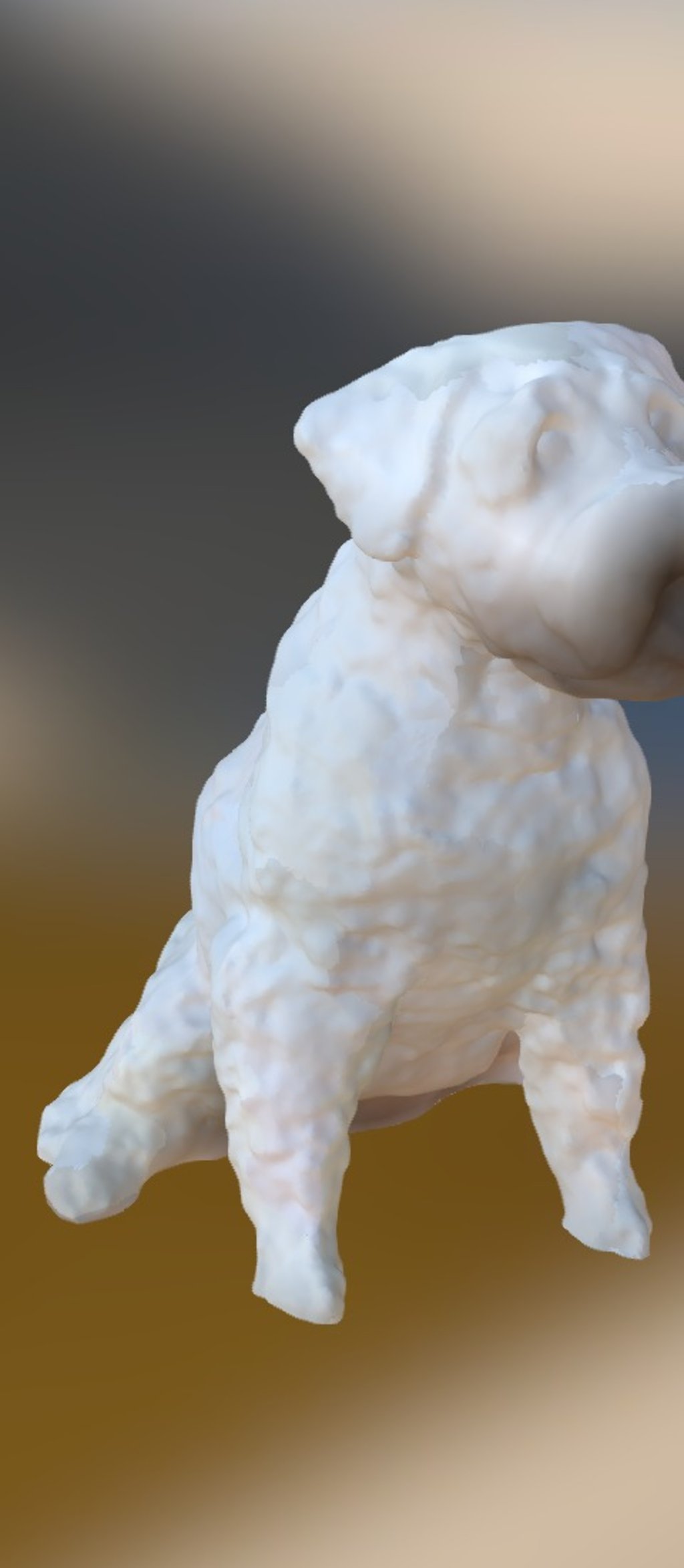 Dollar - 3D model by Alex (@alexchancw) [bc24a4c] - Sketchfab