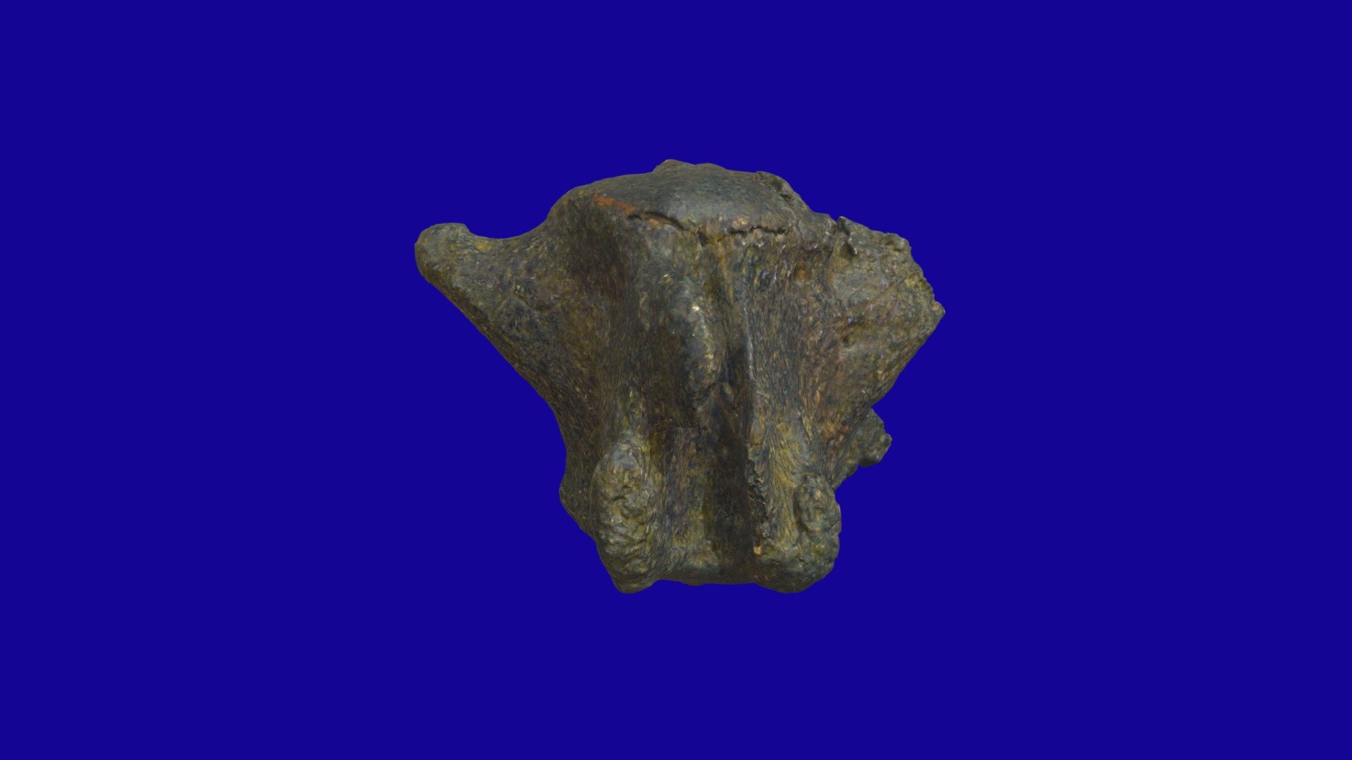 Mastodon Vertebra (VCU_3D_7644) - Download Free 3D model by Virtual ...
