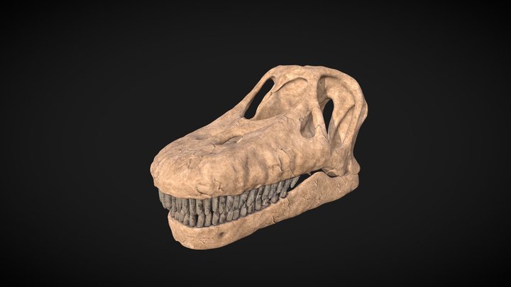 Titanosaurus 3D models - Sketchfab