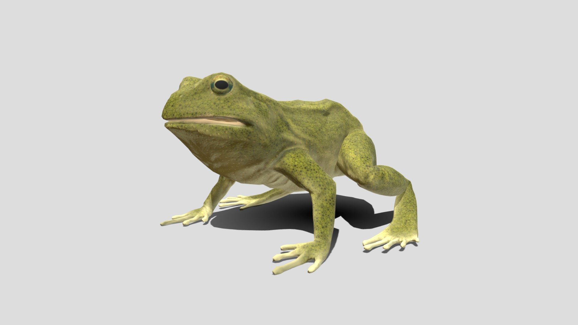 Frog - Buy Royalty Free 3D model by Mixall (@Mixaills) [bc2a08d ...