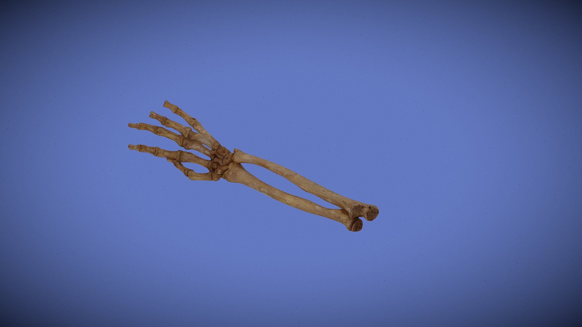 Craswall Arm Relic, Herefordshire - 3D model by Hereford Museums ...