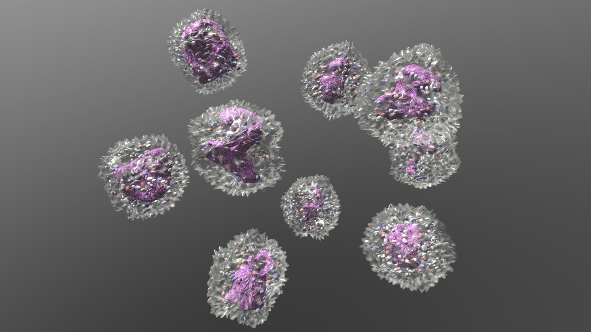Leukocytes: Monocytes, Lymphocytes, Plasma Cells - Buy Royalty Free 3D ...
