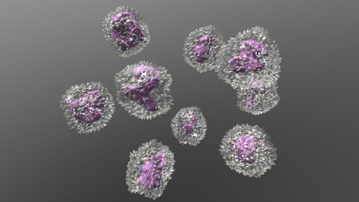 Blood - A 3D model collection by Sereib - Sketchfab