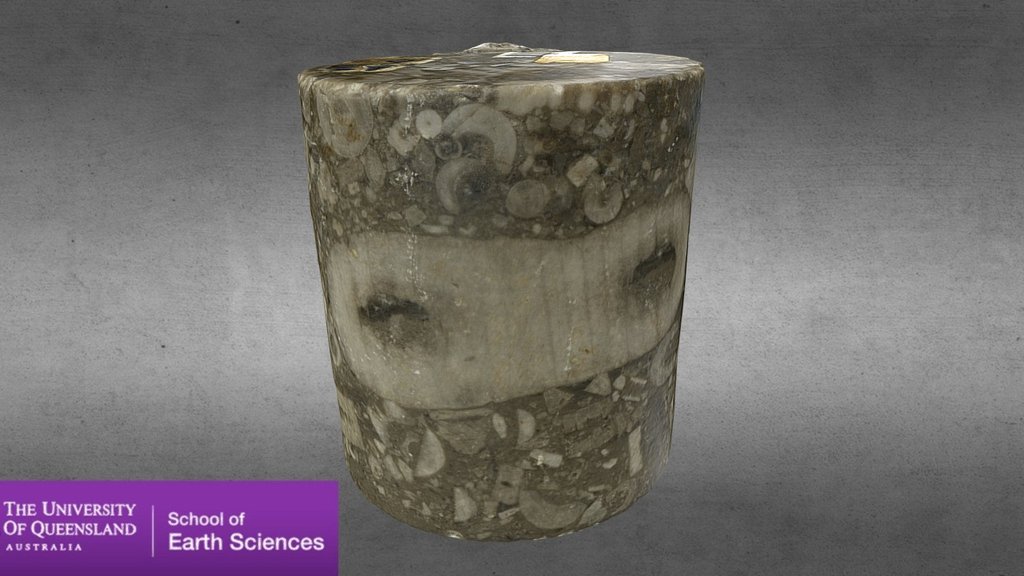 Sedimentary Structures - Geopetal Structure - 3D model by nate_siddle ...