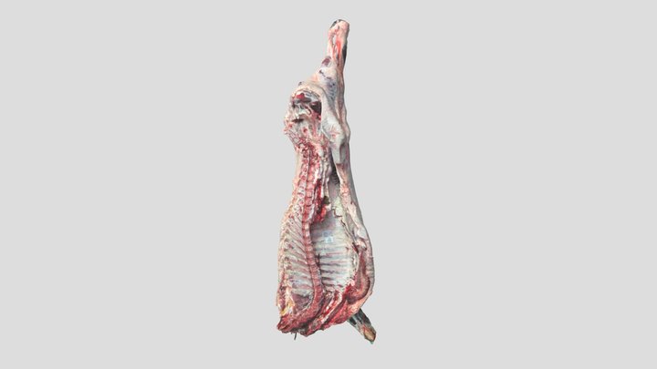 Carcass 3D models - Sketchfab