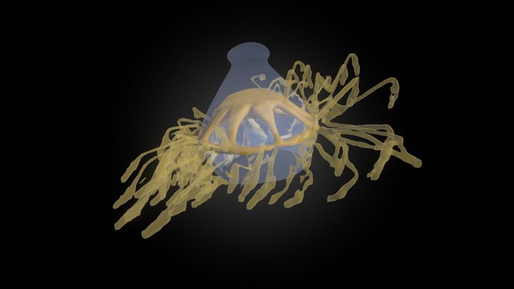 Cnidaria 3D models - Sketchfab