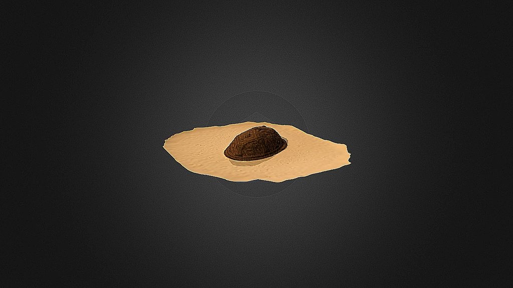 Fibula, 10th century, Russia - 3D model by Vasily Novikov (@vasily ...