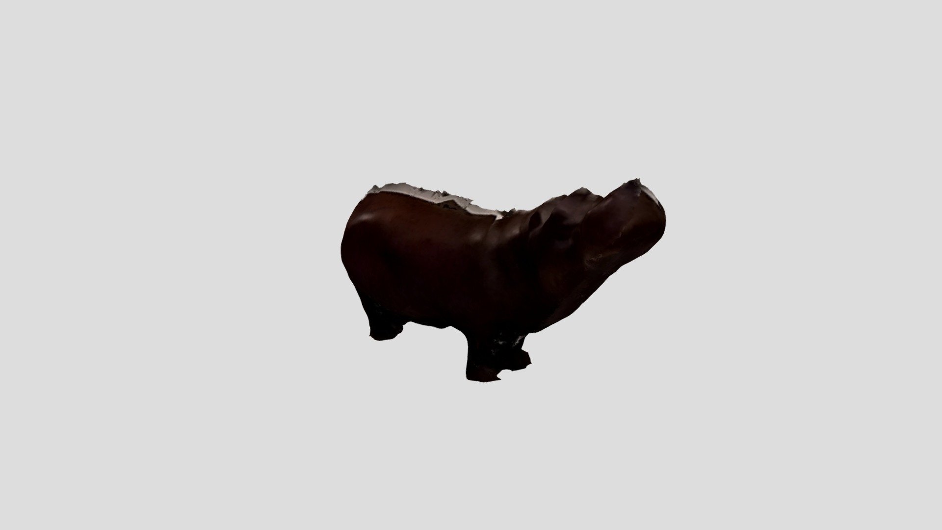 Hippo test - 3D model by fofonafifi [bc4da13] - Sketchfab
