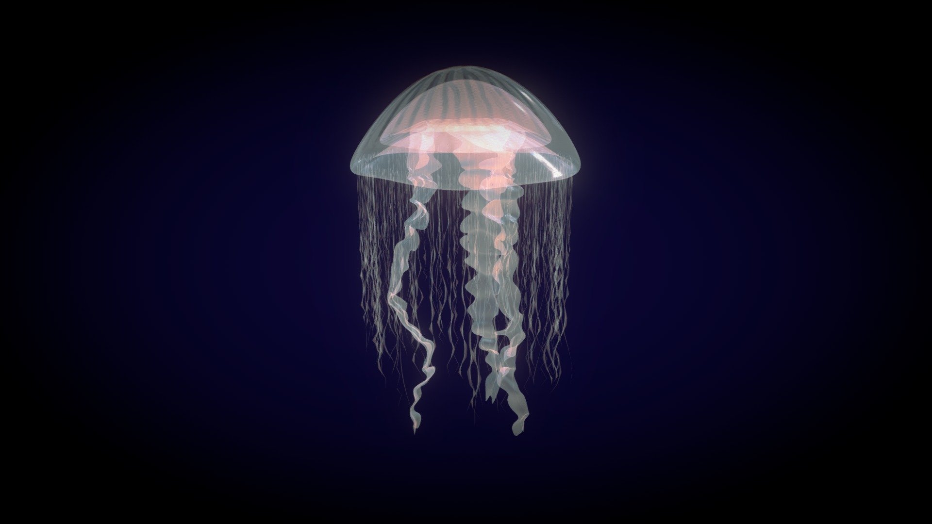 Jellyfish - 3D model by PARSONSARTS (@tomparsons) [bc50156] - Sketchfab
