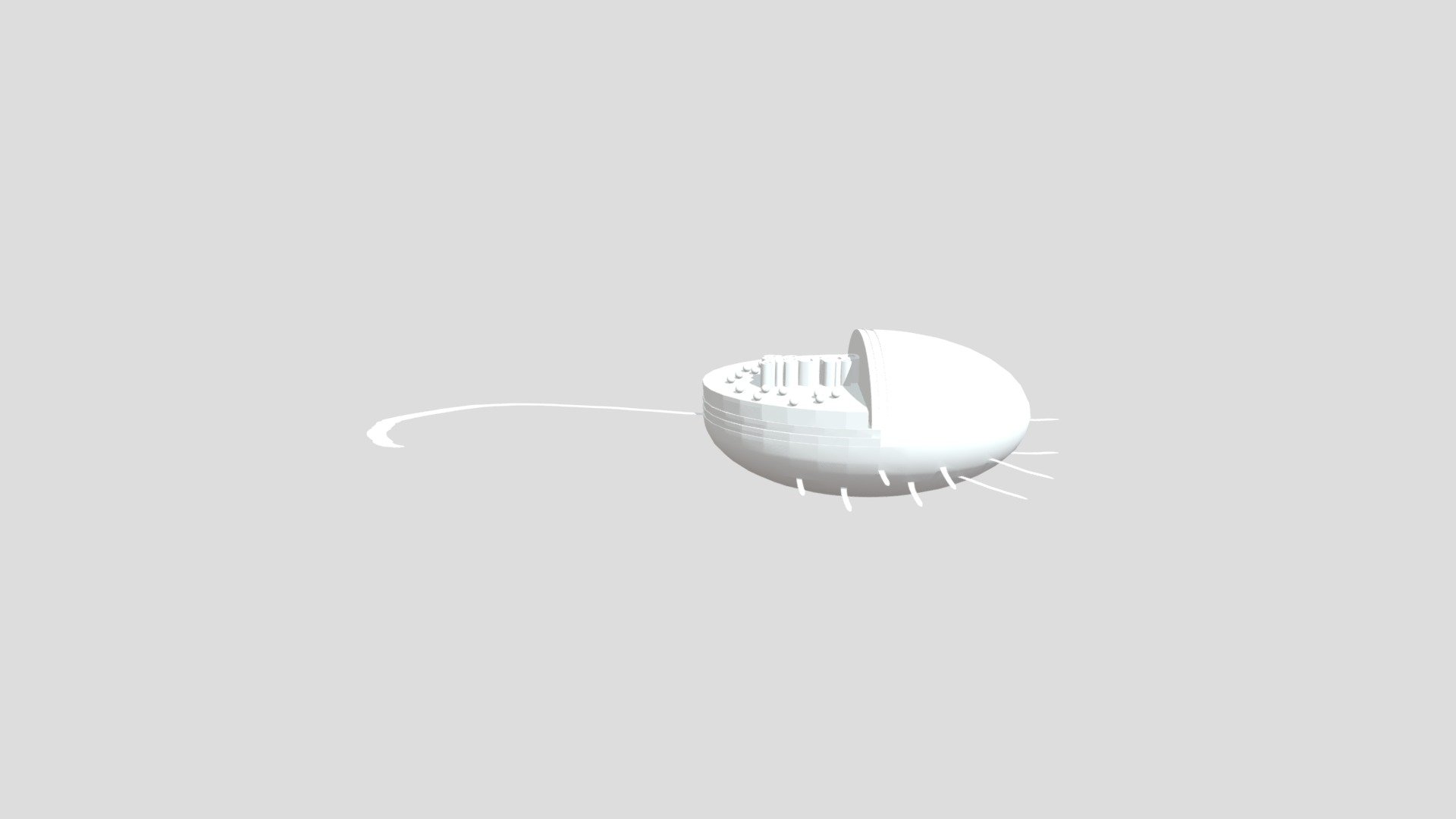 Bacteria Cell- Balen - Download Free 3D model by mrscience2020 [bc5485c ...