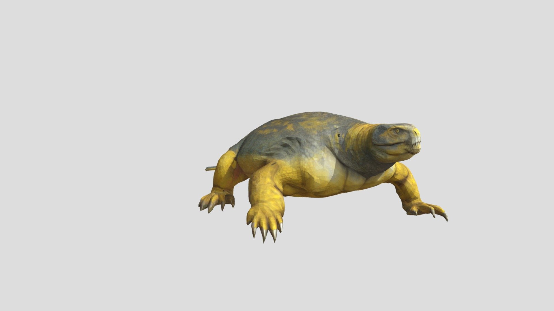 Algherosauro 3D - Download Free 3D model by alessio.langella [bc60b55 ...