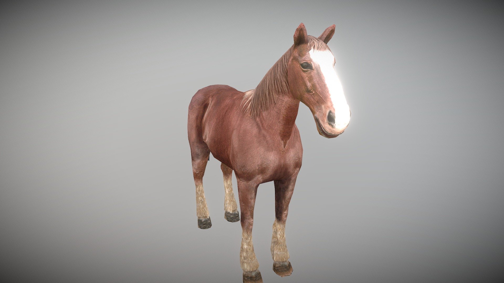 Horse Rigged(Game Ready) - Download Free 3D model by abhayexe [bc64f4f ...