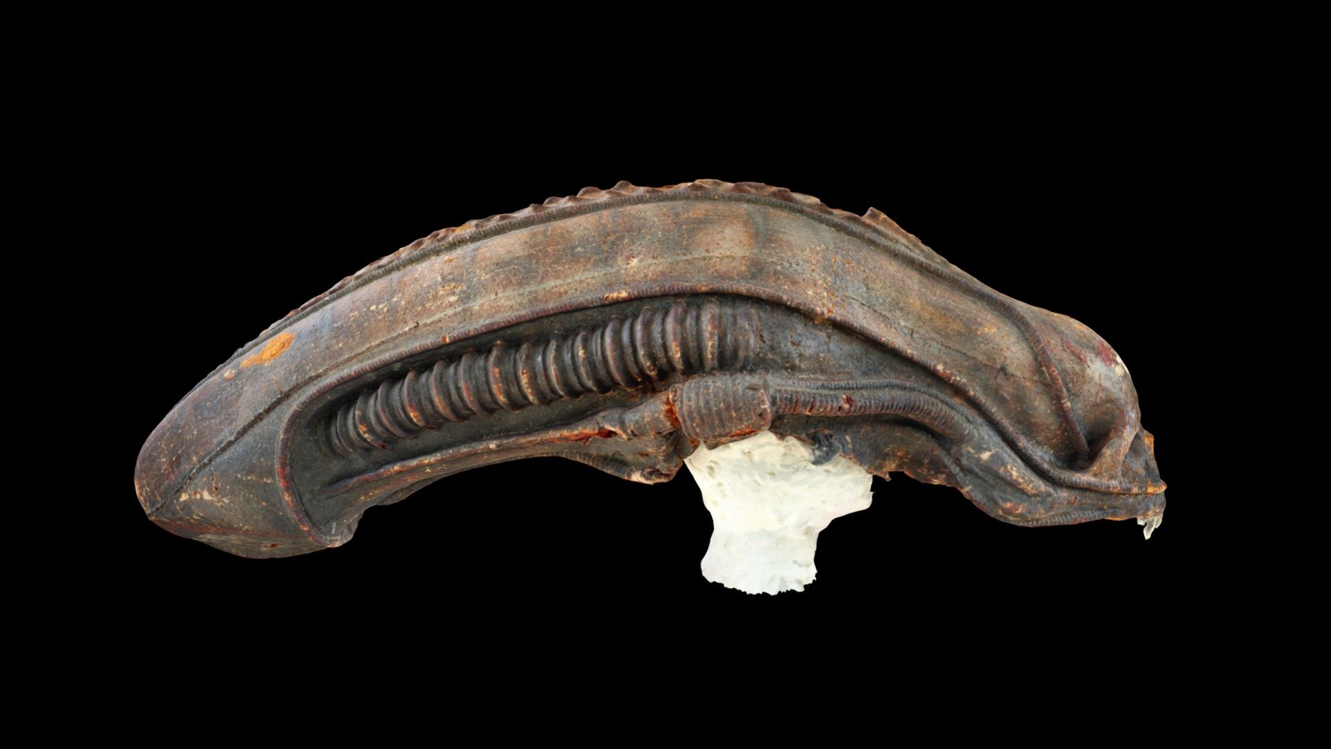 Alien Stunt Head from "Alien" - 3D model by Dragoneye3D (@Dragoneye3d ...