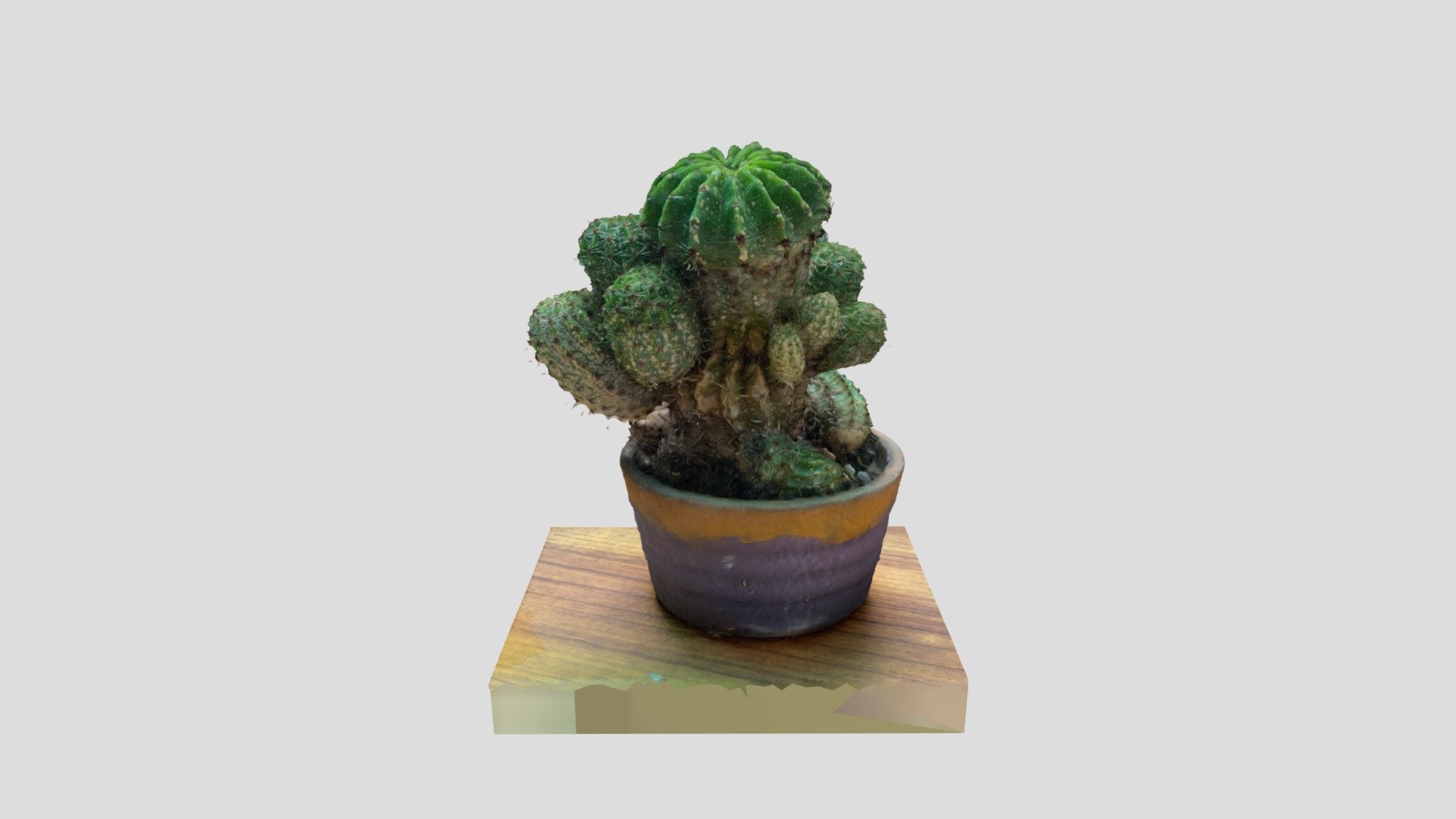 Cactus Pot 2 - Download Free 3D model by Awais Azhar (@Awaisgg015 ...