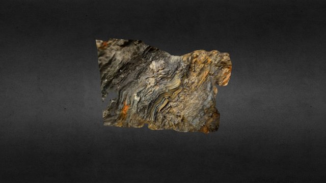 Ediacaran 3D models - Sketchfab