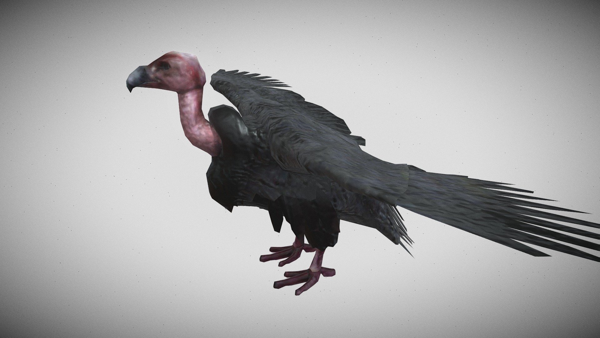 Vulture - 3D model by infinity3d (@ayoubatigui33) [bc78be8] - Sketchfab
