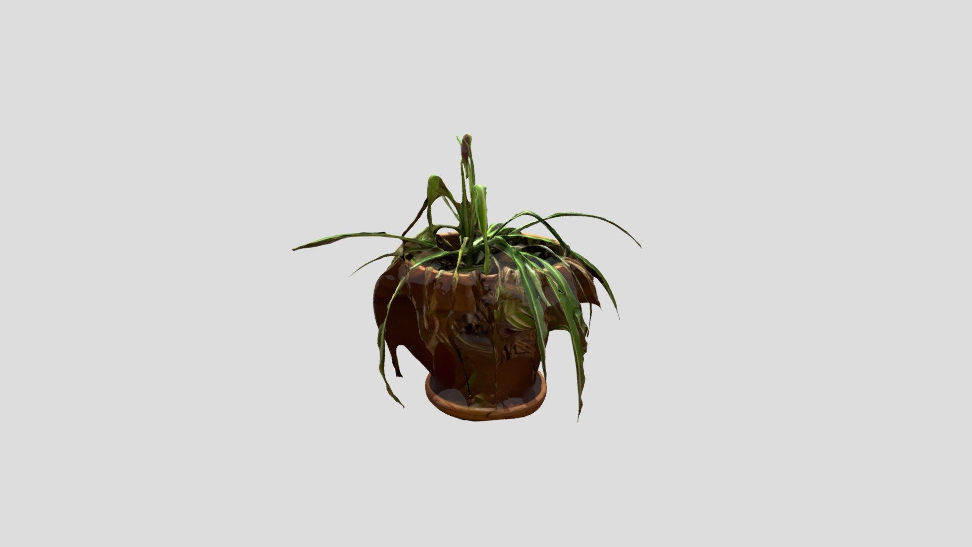 Putman_ Dead Plant_ Object - 3D model by Noa Putman (@noaputman ...