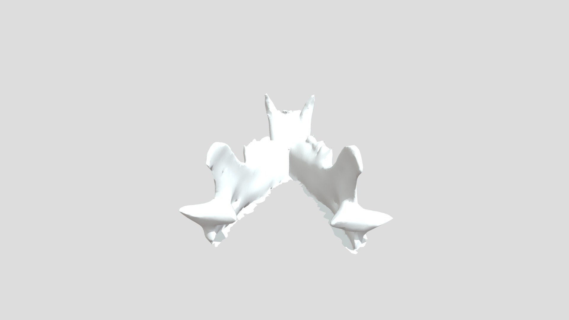 Machoire_3 - Download Free 3D model by Tavernier Amaury (@svtavernier ...
