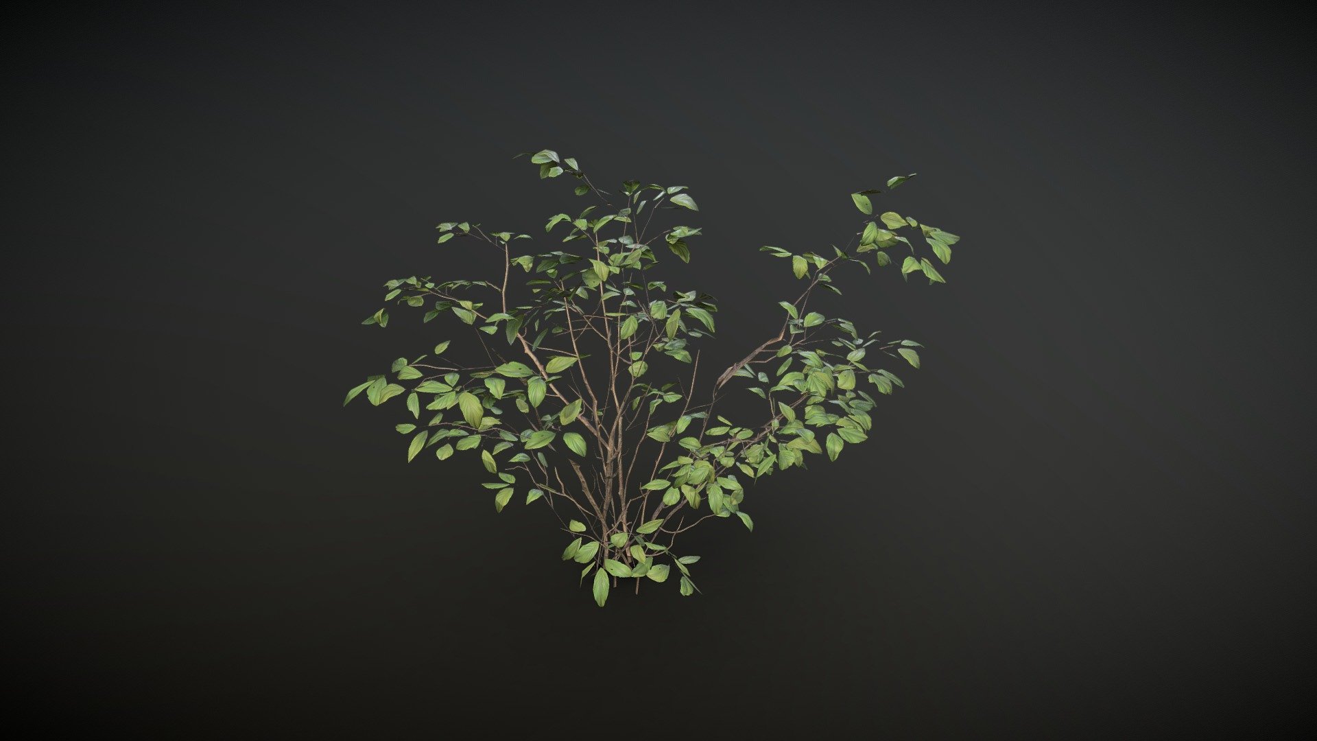 Low Poly Bush - 3D model by Kaizen Digital ID (@kaizendigital.id ...