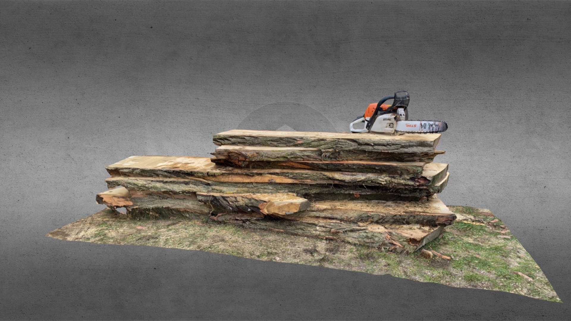 Tree cut to pieces - 3D model by e-panoramy [bc9c569] - Sketchfab