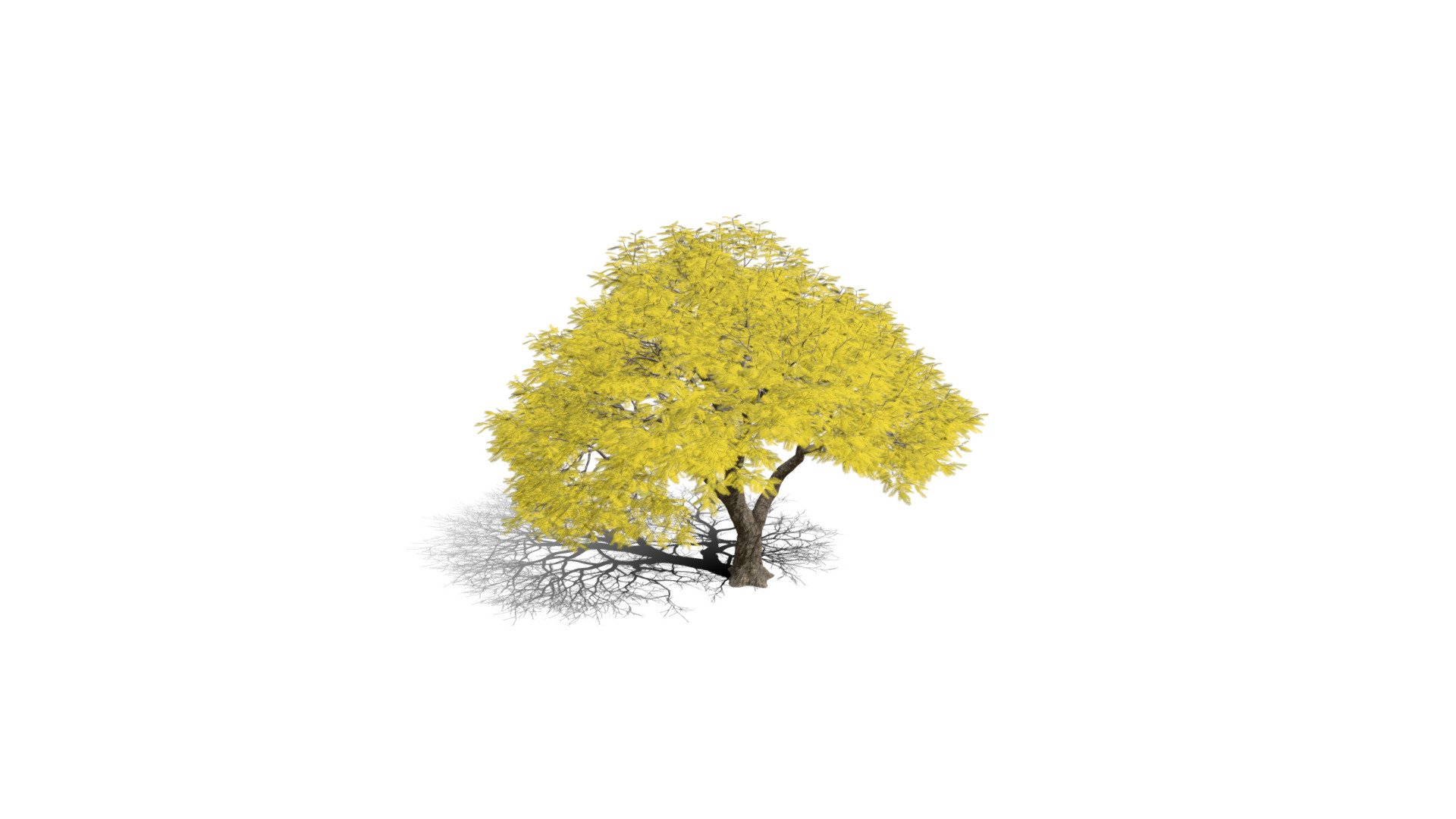 Realistic HD Blue jacaranda (30/40) - Download Free 3D model by ...