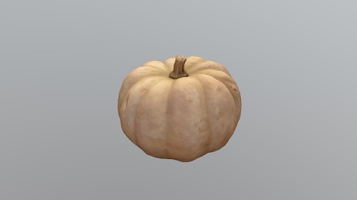 White-pumpkin 3D models - Sketchfab
