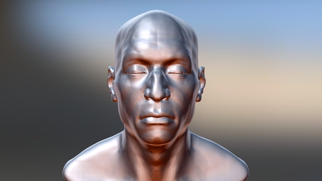 Speed Head Anatomy - Download Free 3D model by charles.woods [bc9fbc1 ...