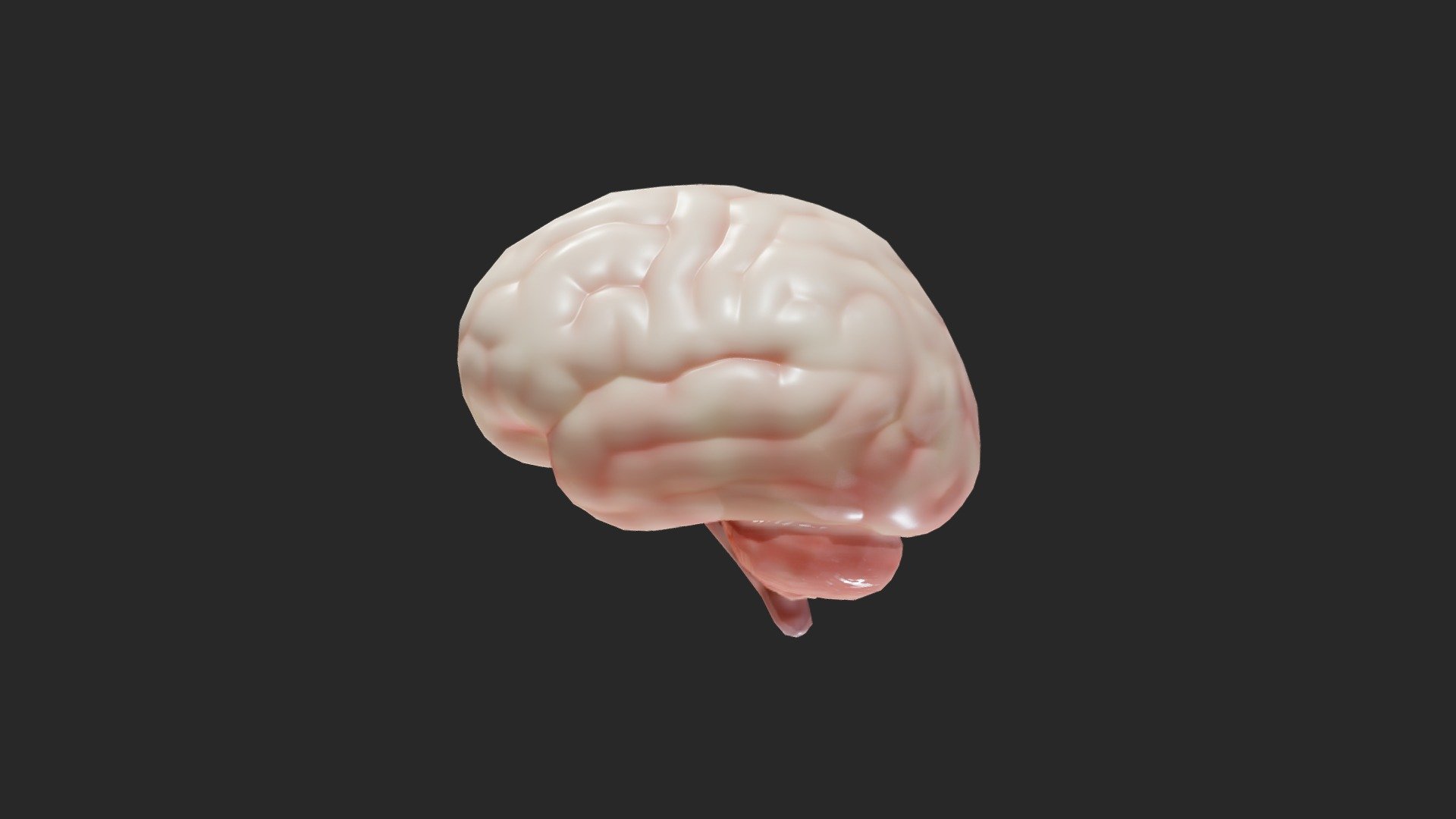 Human Brain - Buy Royalty Free 3D model by zames1992 [bc9fe93] - Sketchfab Store
