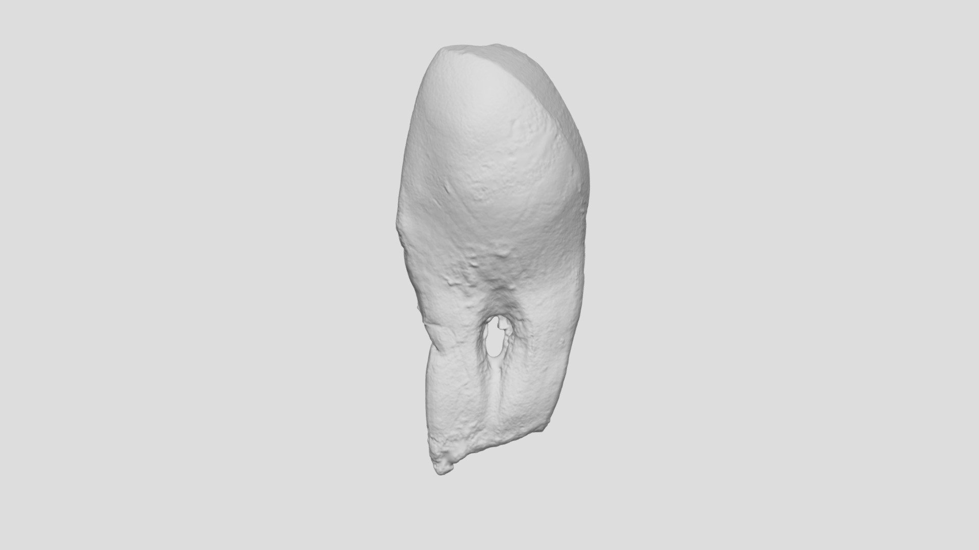 Exp. 6 Perforated - 3D model by Josh.London [bca211f] - Sketchfab