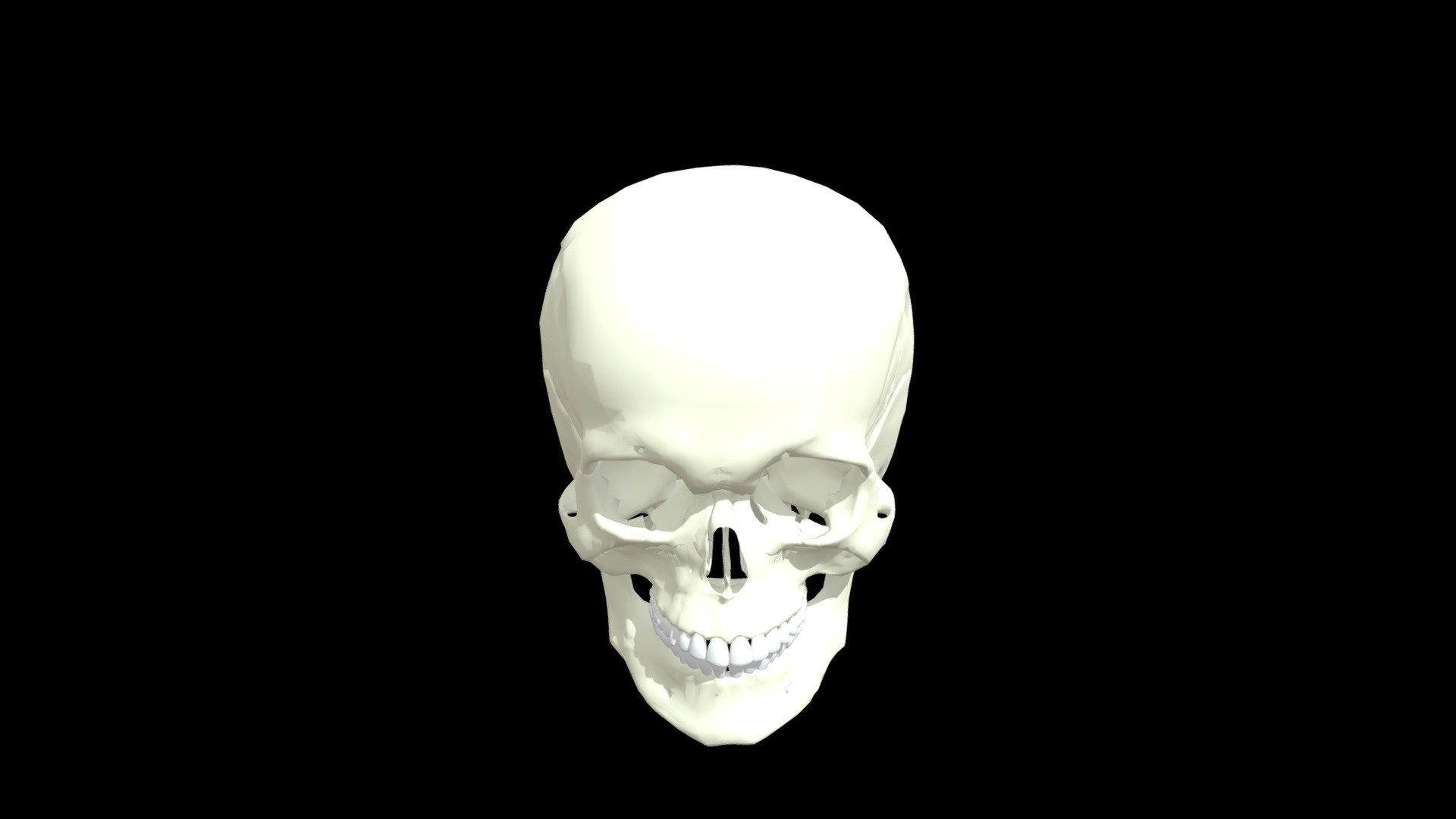 Calaca plagiada - 3D model by rommelfake4 [bcaa504] - Sketchfab