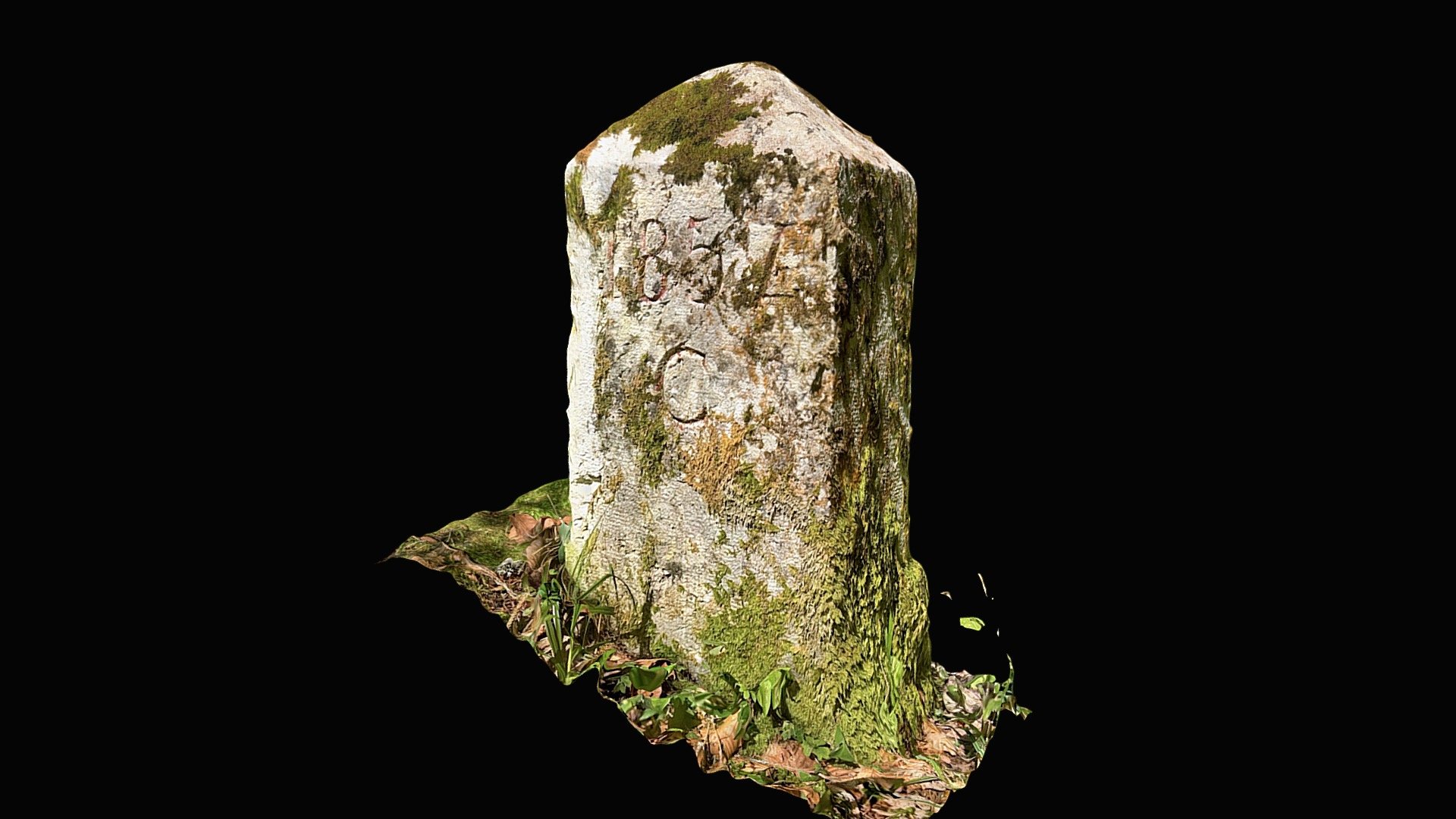 borNE.LCAF-LVER.c - Download Free 3D model by clwacker [bcaee5d ...