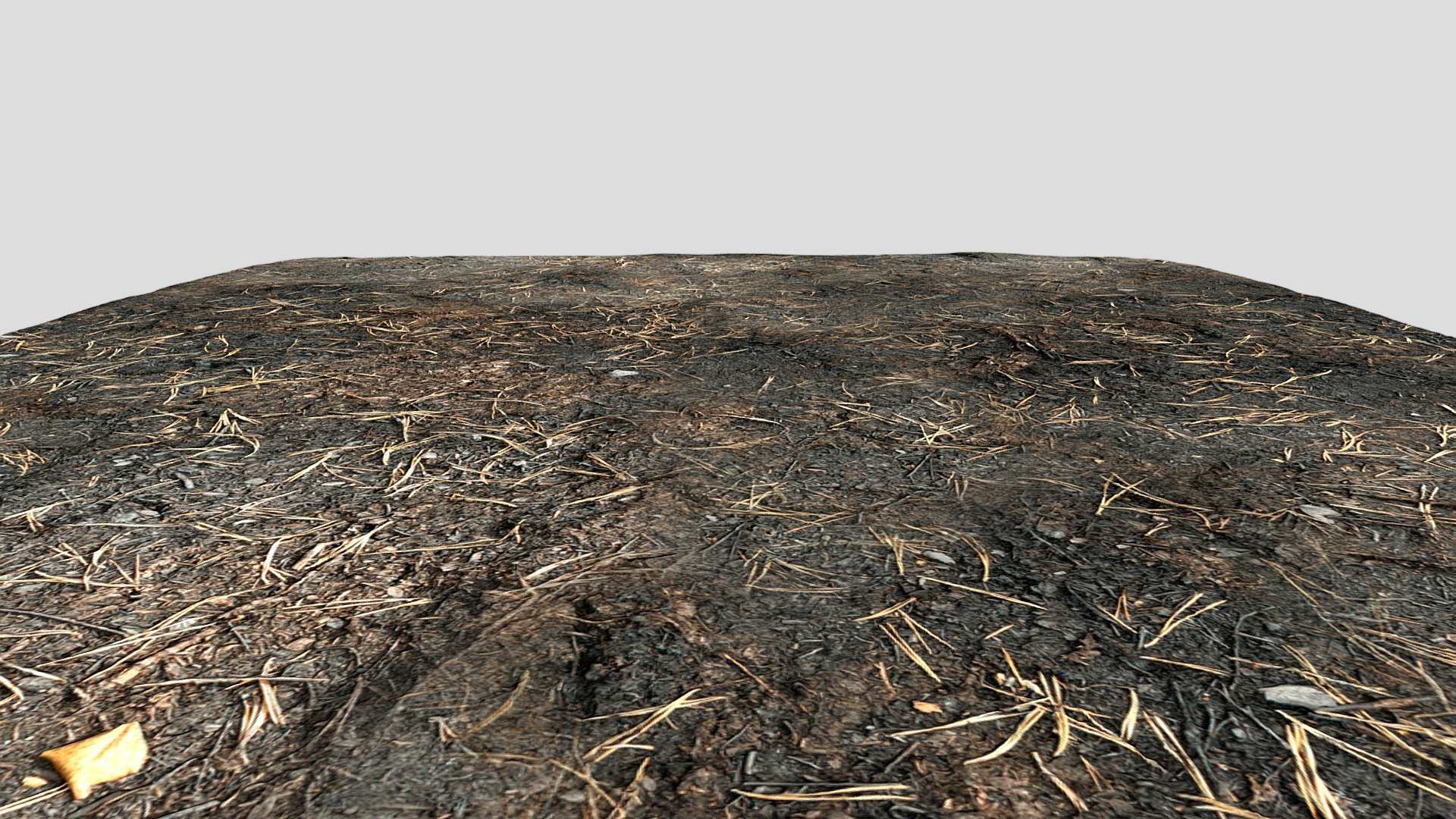 Terrain - Burn Ground - PBR - seamless - 3D model by Hugoestelles ...