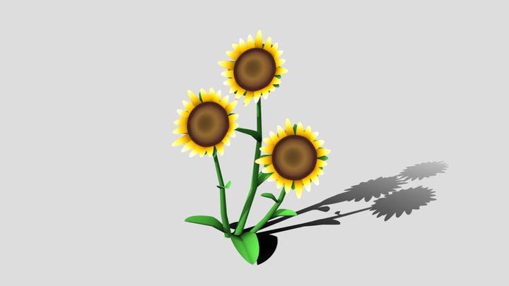 Sunflower 3D models - Sketchfab