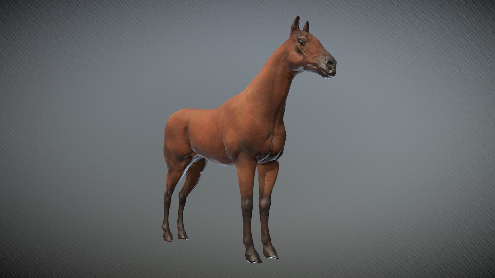 LEHMANN_Yannis_Horse_LowPoly - 3D model by YannisLehmann [bcb8a56 ...