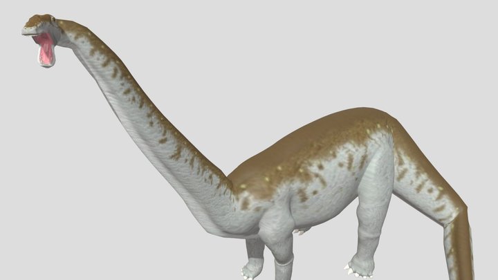 Apatosaurus 3D models - Sketchfab