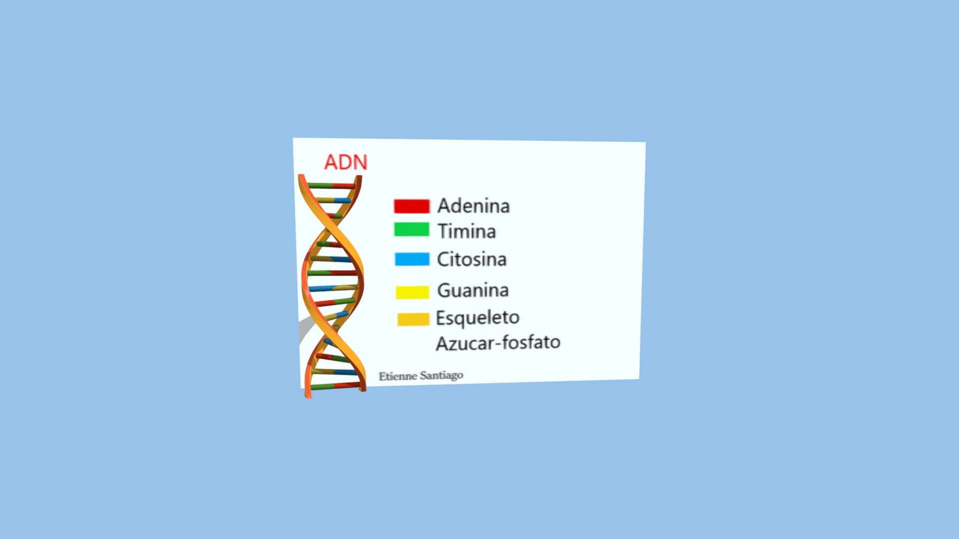 Partes del ADN - 3D model by etiago12 [bcbb4d4] - Sketchfab
