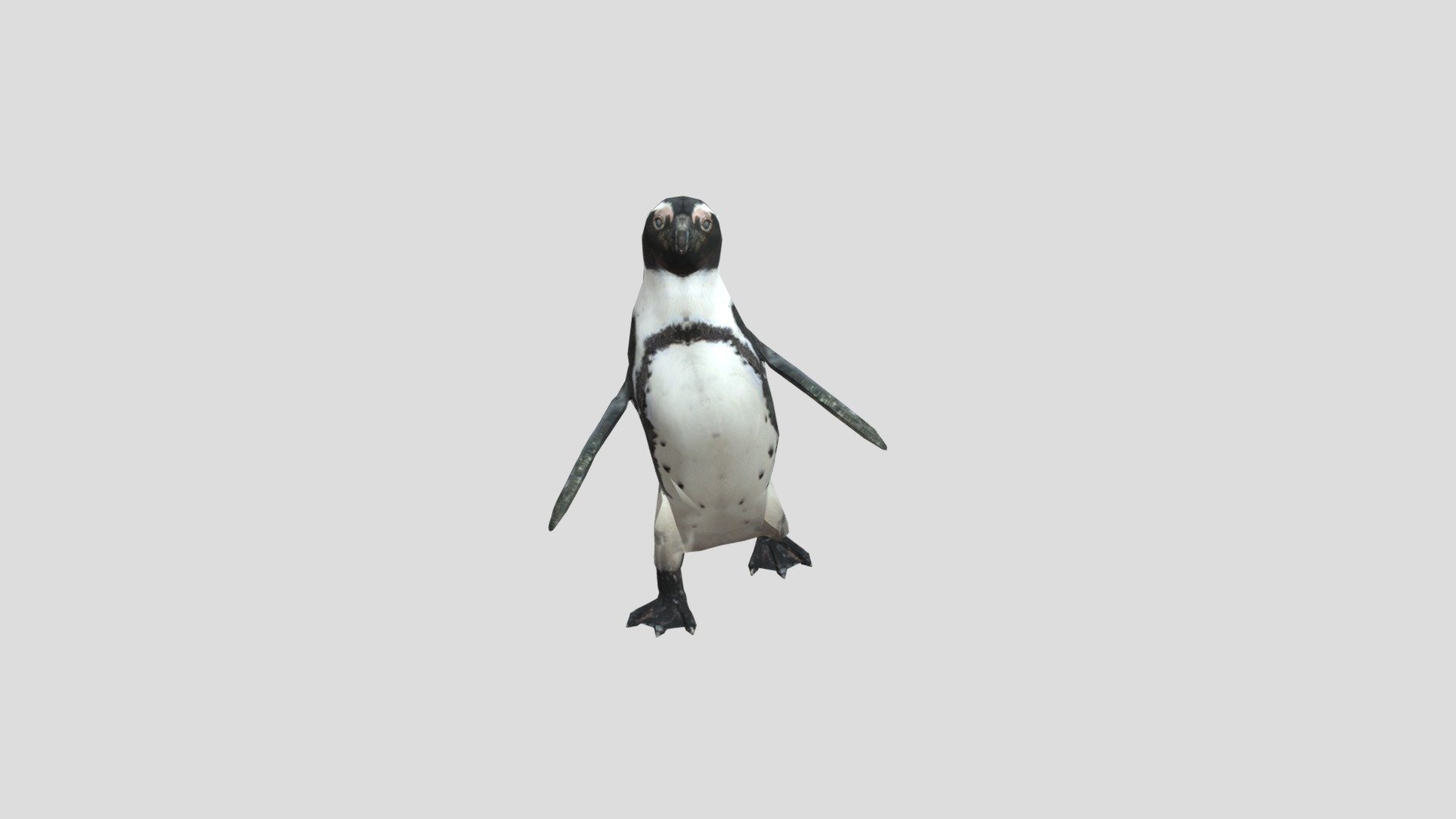 Penguin Walk V1 - 3D model by camcouto [bcbb567] - Sketchfab